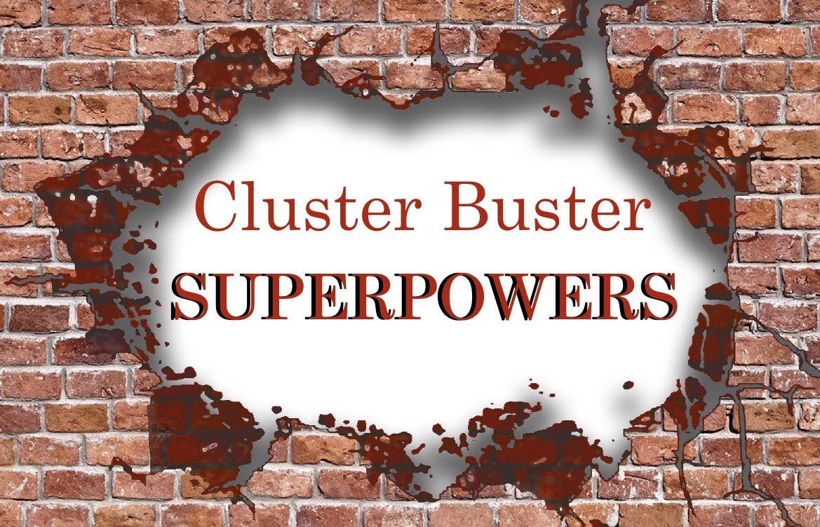 TCKs and the Cluster Theory – Michèle Phoenix